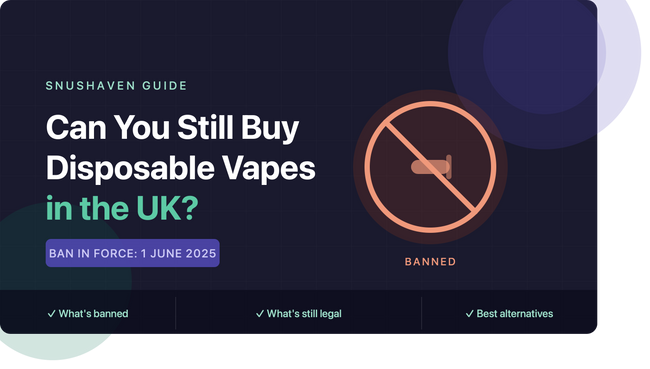 Can You Still Buy Disposable Vapes UK? Everything You Need to Know in ...